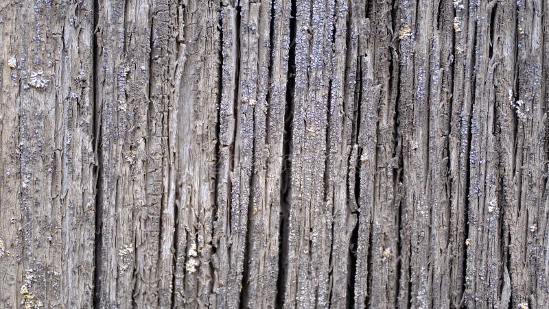 Wood Texture. Objects from the Boards Stock Image - Image of timber ...