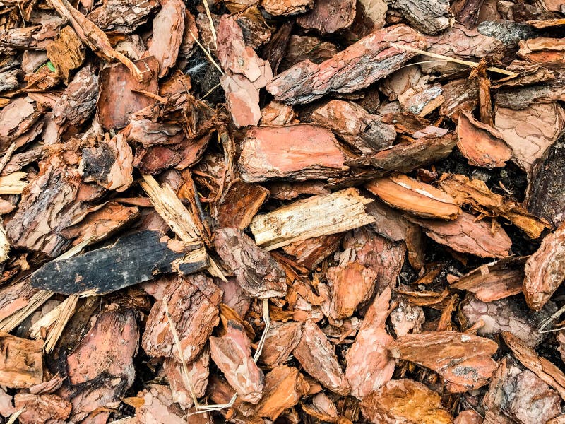 Pieces of Tree Bark Isolated on White Stock Image - Image of brown, pieces: 282546075