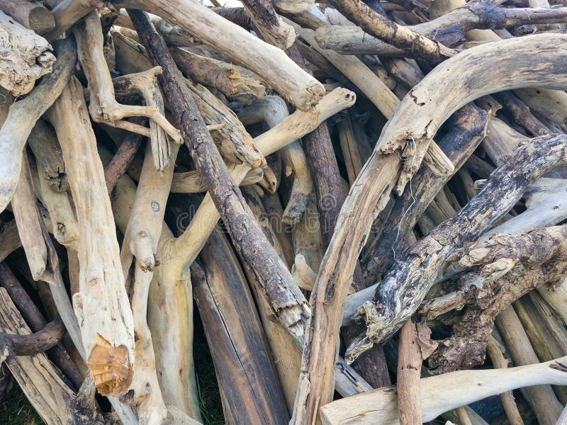 Wood Remains Washed Up on the Beach Stock Photo - Image of wave, beach ...