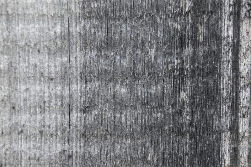 Background, Wood Texture, Old Gray Wooden Board with Cracks Stock Image ...