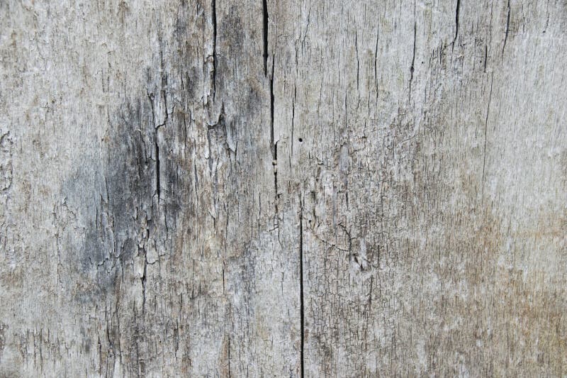 Background, Wood Texture, Old Gray Wooden Board with Cracks Stock Image ...