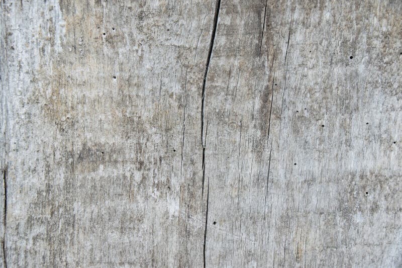 Background, Wood Texture, Old Gray Wooden Board with Cracks Stock Image ...