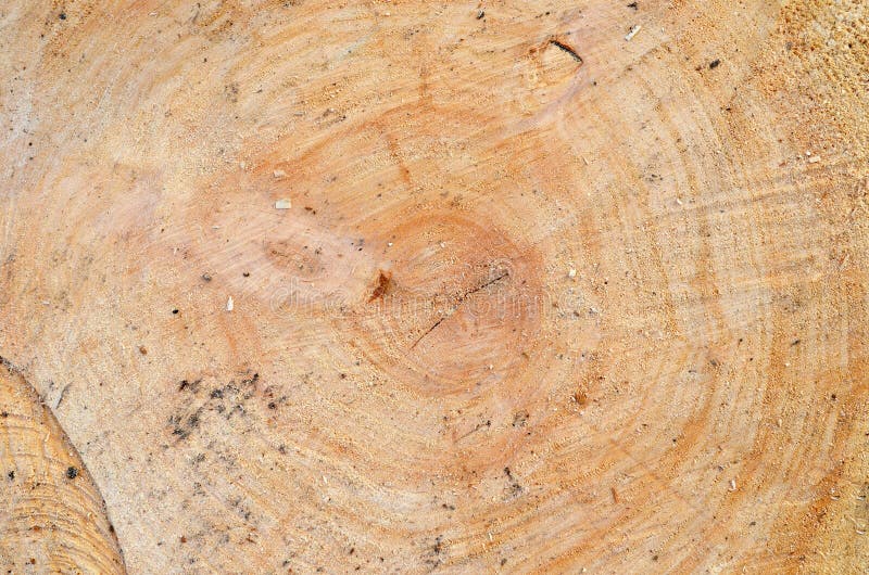 Soil Core Section Stock Photos - Free & Royalty-Free Stock Photos from ...