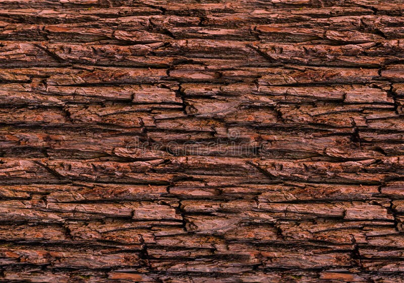 Background Wooden Bark Tree Oak Texture Brown Horizontal Pattern Rustic ...