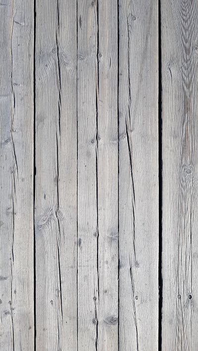 Background of Wooden Birch Boards Stock Photo - Image of rough, gold ...