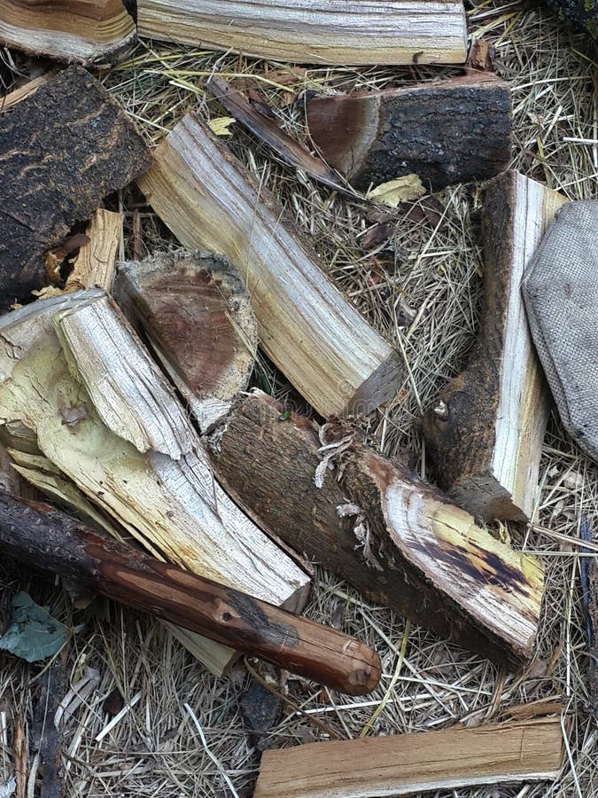 Wooden Log and Chopped Firewood Stock Photo - Image of natural, home ...