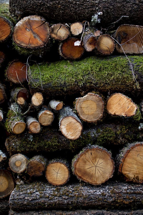 Background of wooden logs. stock photo. Image of brown - 130642844