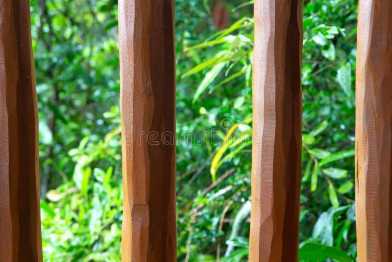 Mesh Wood Texture for Bacground Stock Photo - Image of bamboo, surface ...