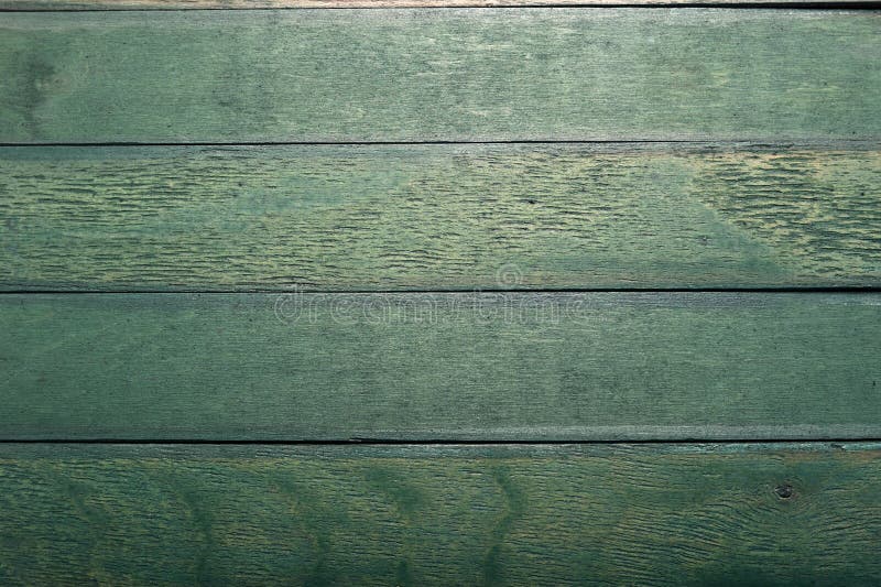 Cold but Green stock image. Image of snowy, branches - 165991303