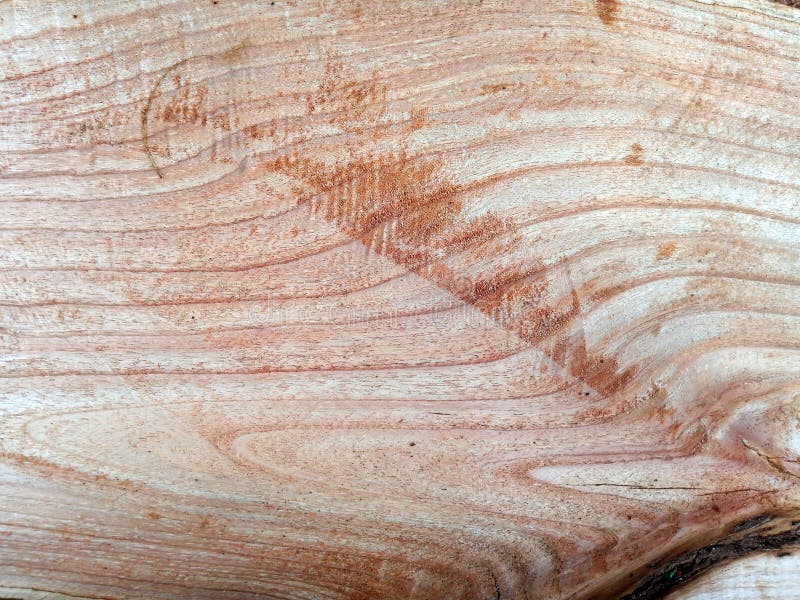 Background Of Wooden Surface Made Of The Ash-tree Plank Stock Image ...