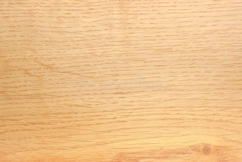 Background of the Light-colored Oak Plank Stock Photo - Image of plant ...