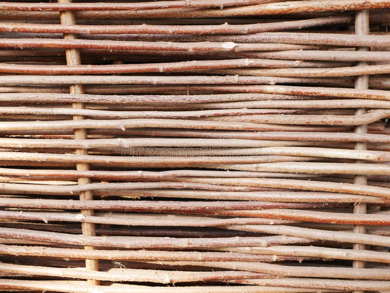 Woven Tree of life stock image. Image of floral, childhood - 187830649