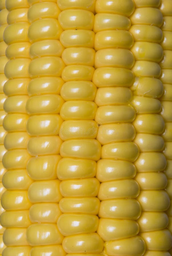 Background of Yellow Fresh Corn Texture. Stock Photo - Image of ...