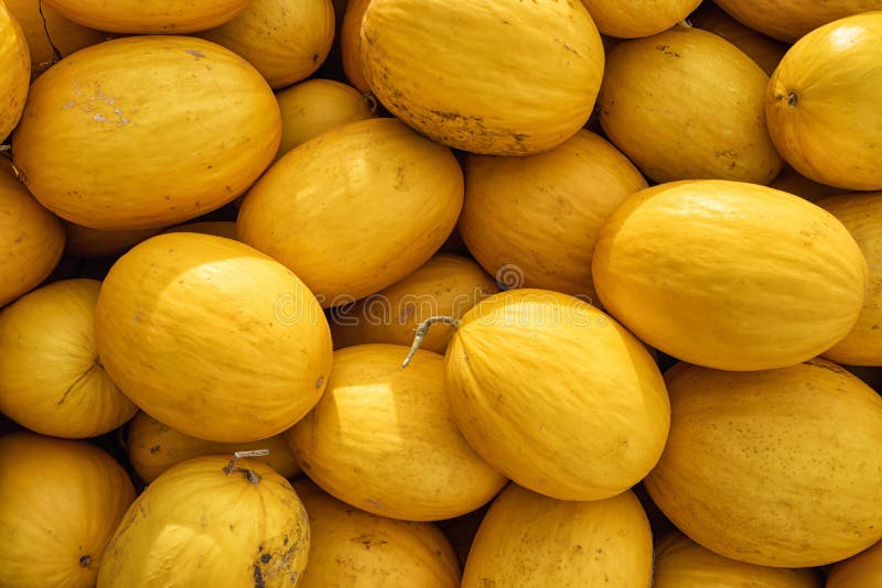 Background of Yellow Melons. Summer Fruit Pattern Stock Photo - Image ...