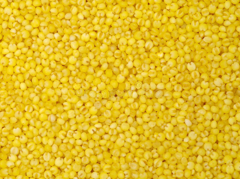 Yellow millet stock image. Image of aliment, grain, produce - 104737303