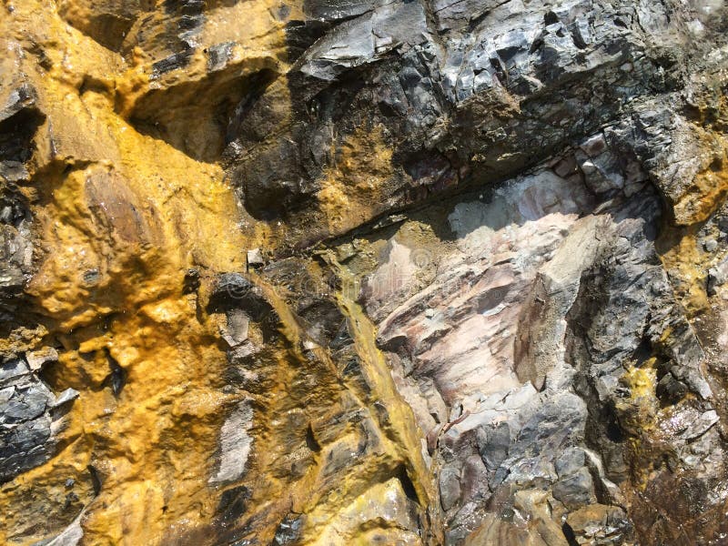 Background with Moss or Mold on the Mountain Rock. Green Nature ...