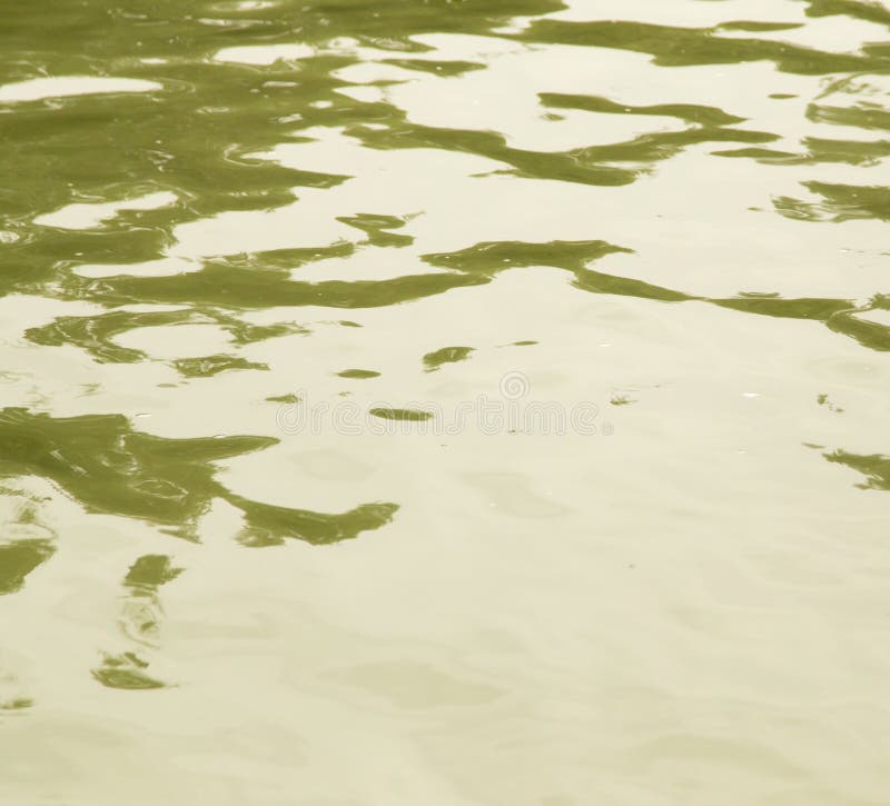 Background of Yellow Surface of the Water Stock Photo - Image of ...