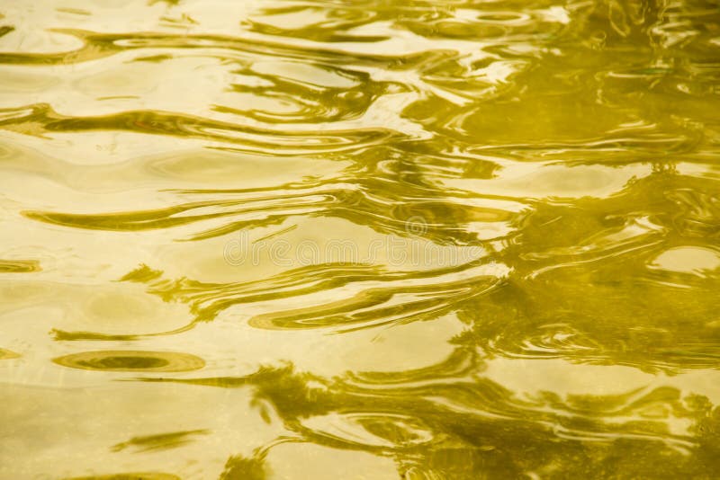 Background of Yellow Surface of the Water Stock Photo - Image of ...