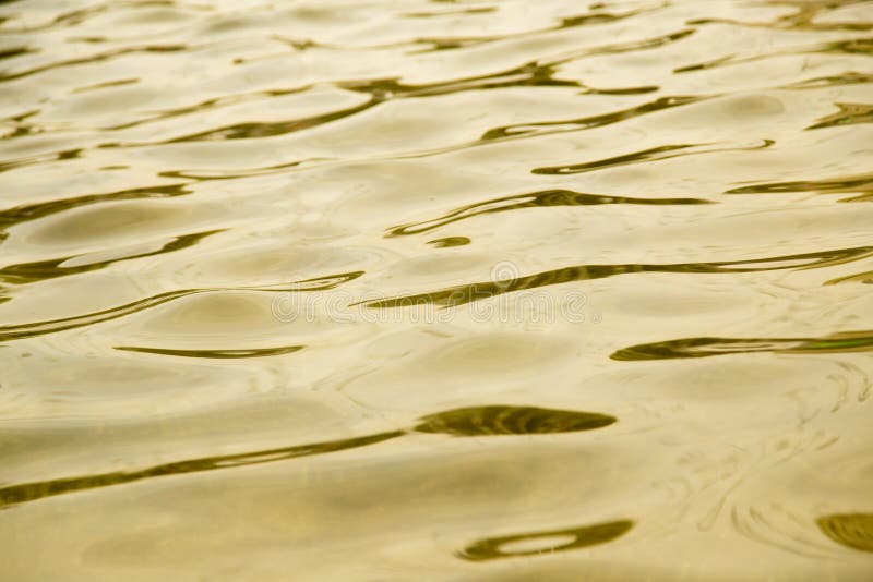 Background of Yellow Surface of the Water Stock Photo - Image of ...