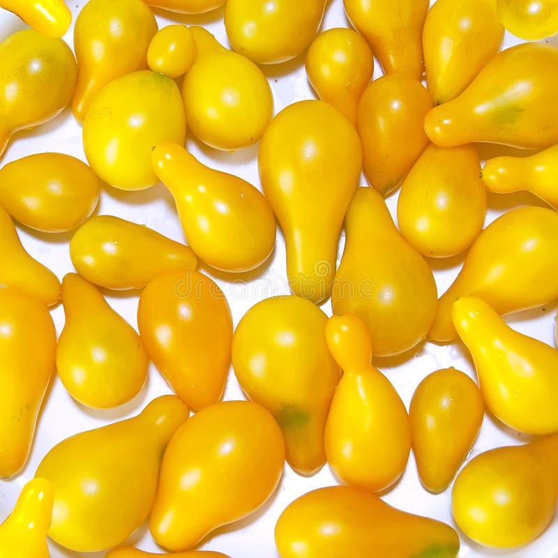 Background of Yellow Tomato Stock Photo - Image of tomato, ingredient ...