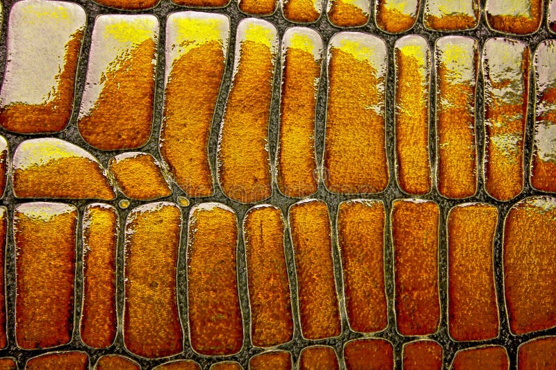 Backgrounds of Alligator Leather Texture Stock Image - Image of luxury ...