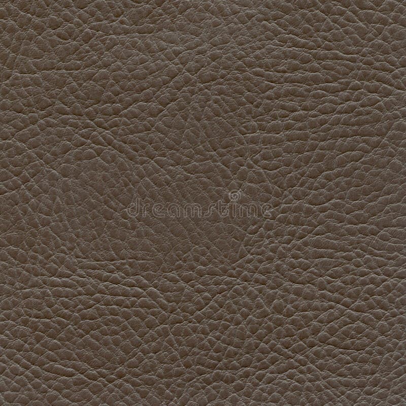 Backgrounds of Leather Texture Stock Photo - Image of lizard, color ...