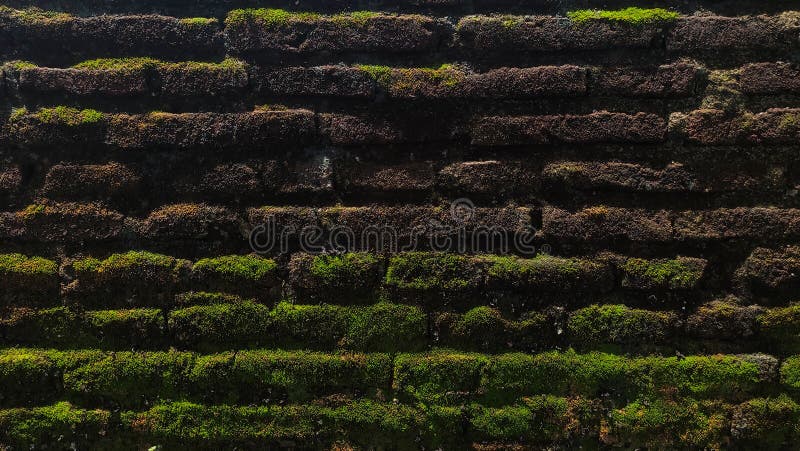 Backgrounds of Mossy Old Wall Stock Image - Image of texture, graphic ...