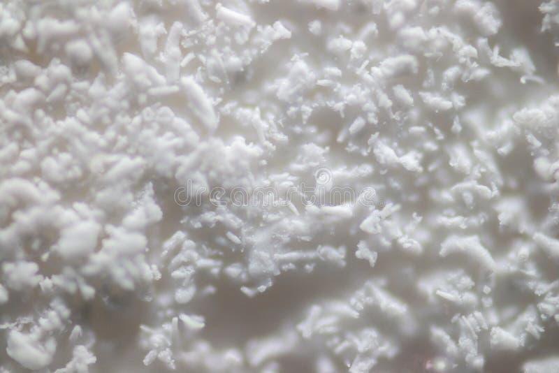 Powder Polymer for Education in Lab. Stock Photo - Image of chemistry ...