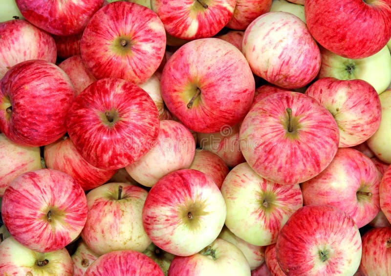 Backgrounds of red apples stock image. Image of fruit - 33460729