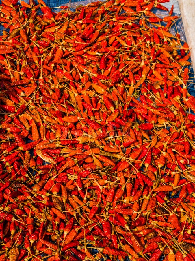 Dried chilli stock image. Image of storage, japanese - 76663637