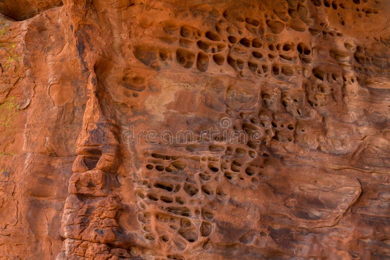 Backgrounds and Textures stock image. Image of rural - 82884831