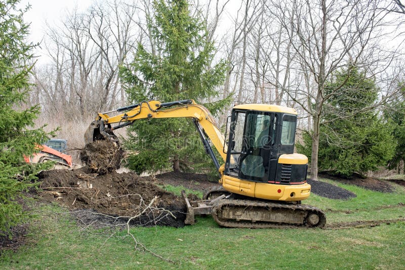 Backhoe Digging Out Tree Stump Stock Image - Image of outdoor, industry ...