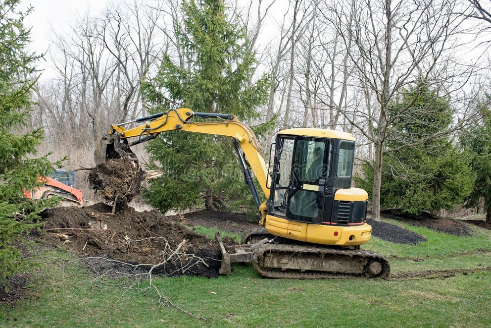 Backhoe Picking Up Tree Stump Stock Photo - Image of nature, bucket ...