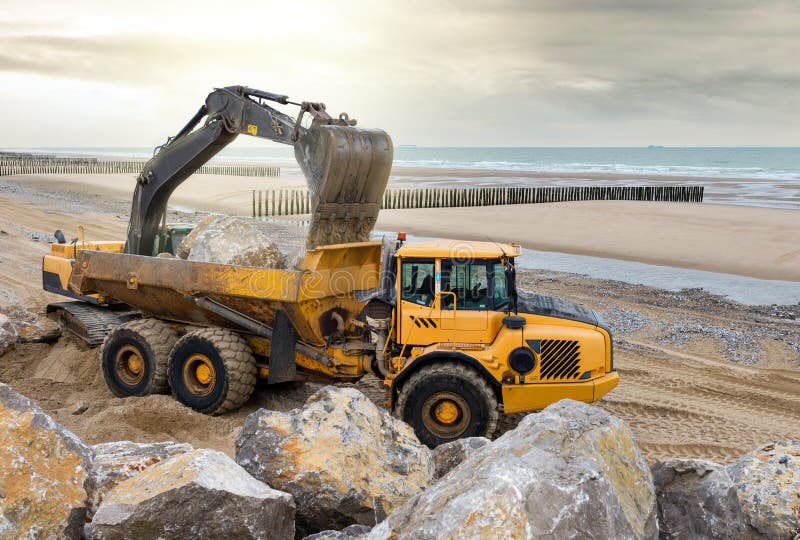 Large Hydraulic Excavators and Dumpers Working As a Team on a ...