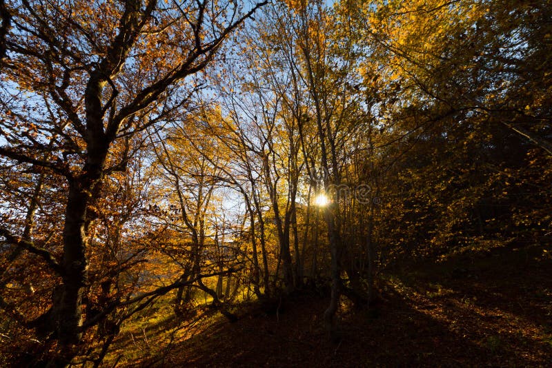 Backlight of Wood-carved Statue of Crucifixion of Jesus Christ Stock ...