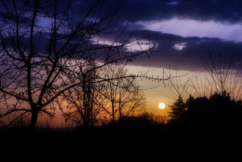 Backlight in the Morning Sun Stock Image - Image of blue, black: 112329557