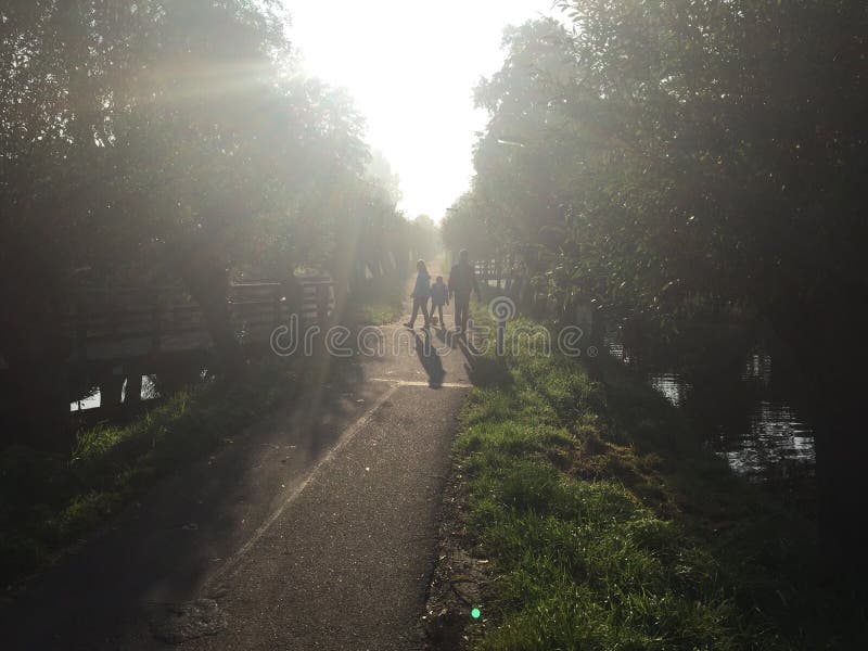 Backlight Path With Wanderers In November Picture. Image: 84927830