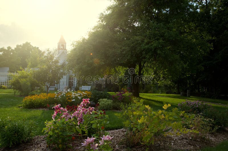 Backlight Pink Lily Flower Garden with Church in the Background Stock ...
