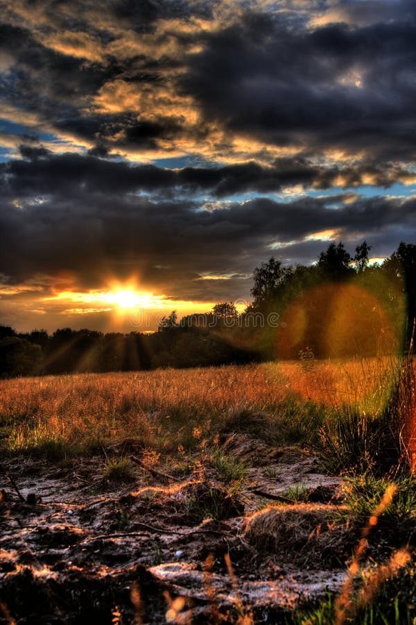 Backlight sunset stock image. Image of heath, flare, clouds - 7781097
