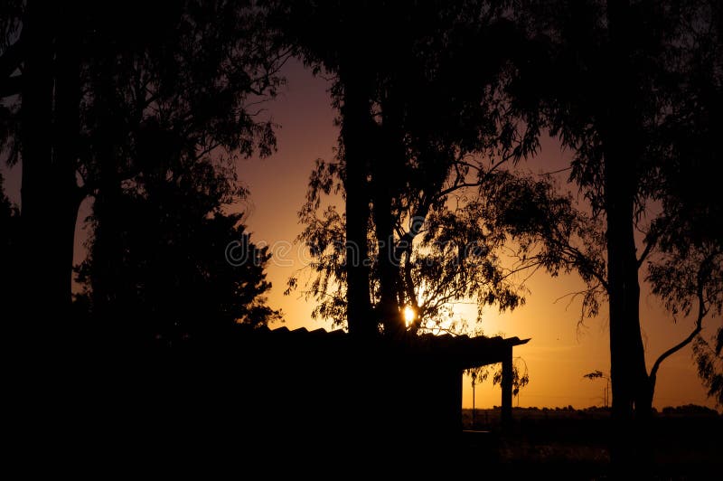 Backlight sunset stock photo. Image of sunset, beautiful - 83178088