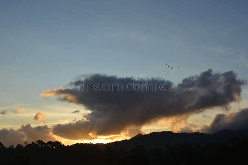 Backlight Sunset with Few Birds Stock Image - Image of birds, sunset ...