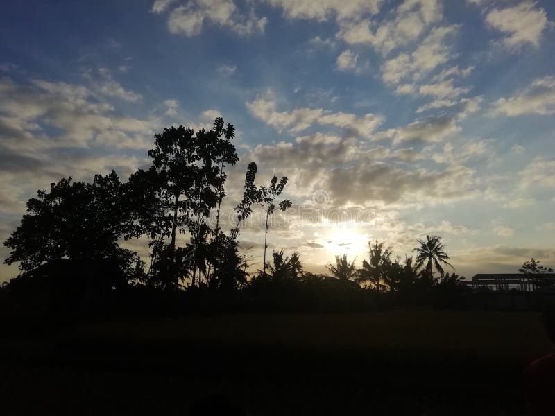 Backlight trees & sun stock photo. Image of adventure - 261817976