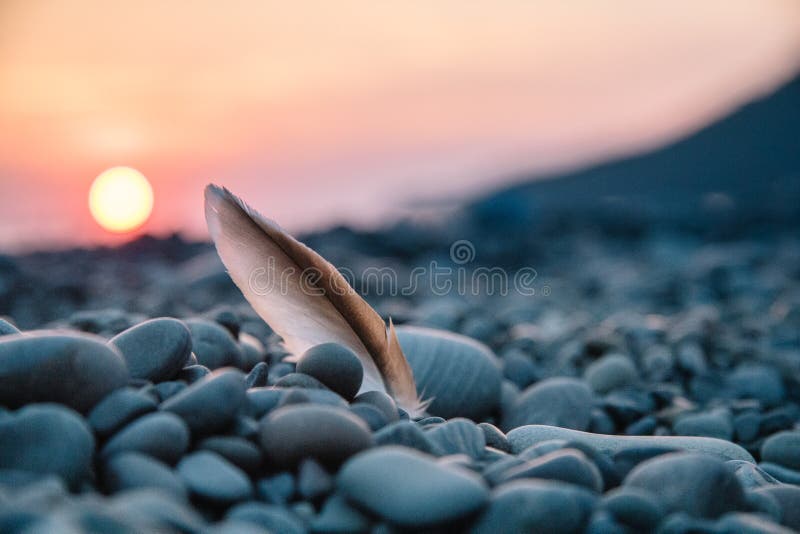 Backlit Beautiful Sunset on the Beach with a Feather. Stock Photo ...