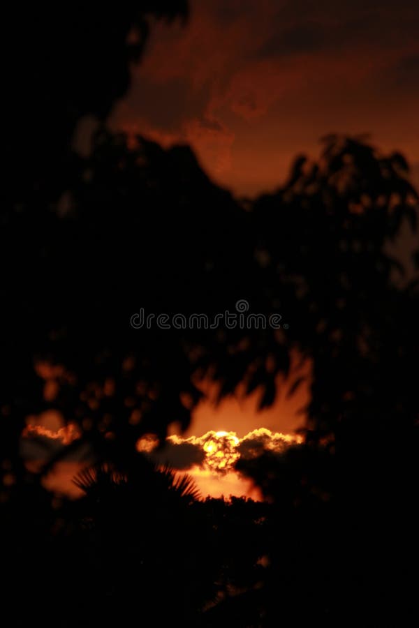 Backlit, Clouds, Dark stock photo. Image of dusk, plants - 110655128