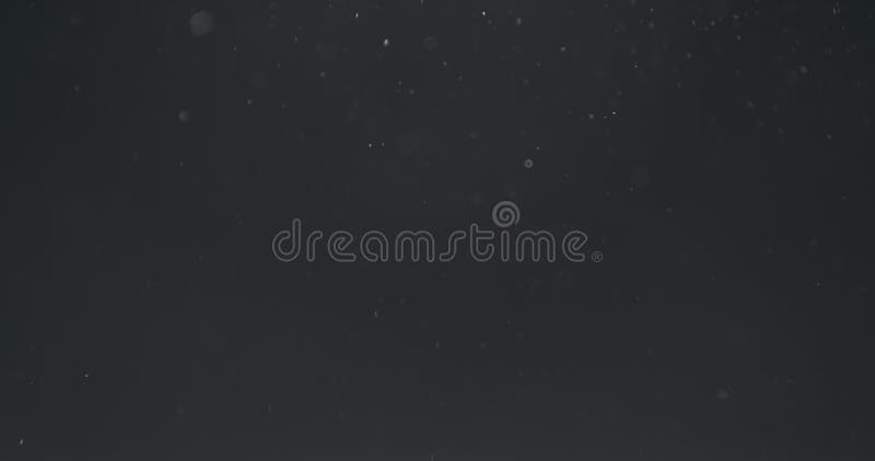 Backlit Dust Particles Explosion Effect on a Black Background with ...