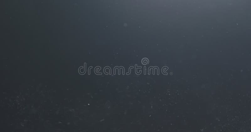 Backlit Dust Particles Explosion Effect on a Black Background with ...