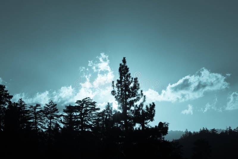 Backlit Forest As Setting Sun Catches on Passing Clouds Stock Photo ...