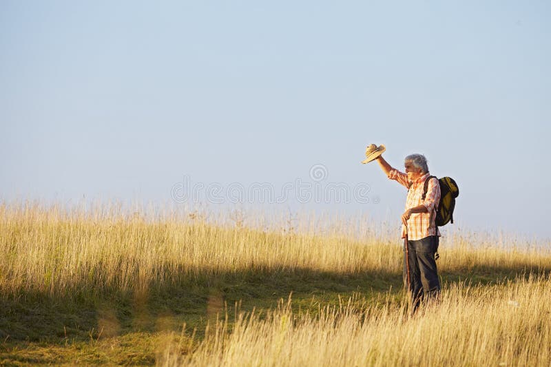 Backlit man hat stock photo. Image of nature, meadow - 49203414