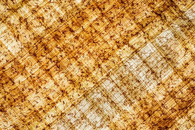 665 Backlight Sheet Stock Photos - Free & Royalty-Free Stock Photos ...