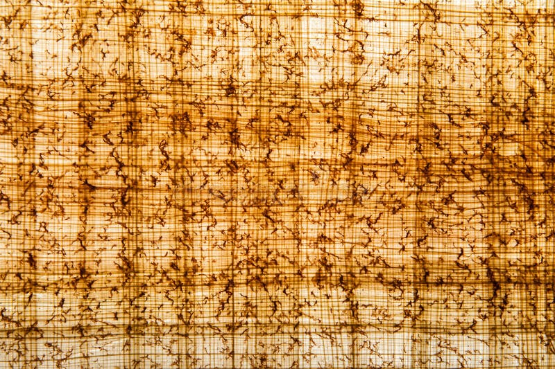 Backlit papyrus sheet stock photo. Image of weft, backlight - 170830682